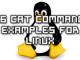 16 Simple Cat Command Examples For Linux