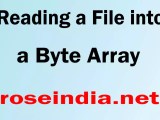 Reading A File Into A Byte Array
