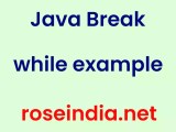 Java Break While Example