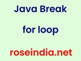 Java Break For Loop