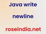 Java Write Newline