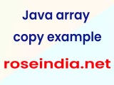 Java Array Copy Example