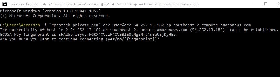 How to launch an AWS Ec2 Instance in a custom VPC subnet? - Prateek's Blog