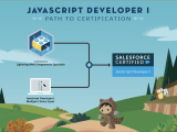 Javascript Developer I Certification Guide Tips