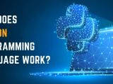 How Does Python Programming Language Work