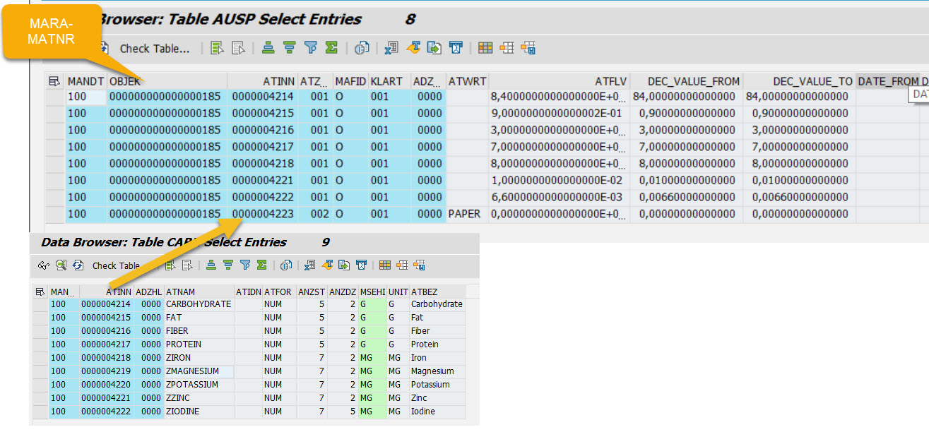 AUSP - My Experiments with ABAP