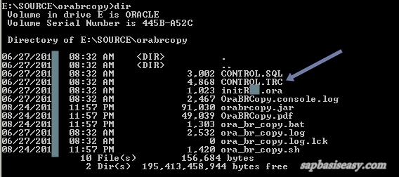 Sap Homogeneous System Copy Using Backup Restore Procedure R3copy