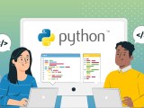 Top Python Development Company In Usa