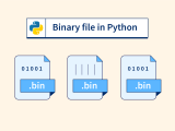Reading Binary Files In Python Scaler Topics
