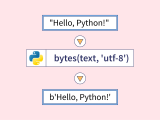 Python Bytes Function Scaler Topics