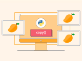 Copy In Python Scaler Topics