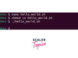 Automate Tasks On Linux With Scripting Scaler Topics