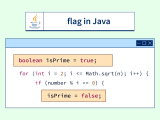 Flag In Programming Scaler Topics