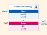 Function Overriding In C Scaler Topics