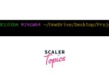 Git Bash Scaler Topics