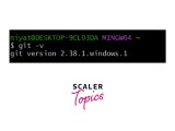 Git Basic Commands Scaler Topics