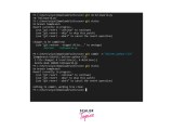 Git Basic Commands Scaler Topics