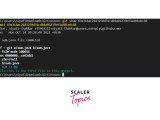 Git Basic Commands Scaler Topics
