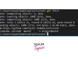 Git Basic Commands Scaler Topics