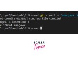Git Basic Commands Scaler Topics