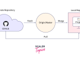 Git Pull Request Detailed Explanation Scaler Topics