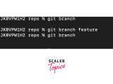 Git Pull Request Detailed Explanation Scaler Topics