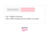 What Is The Hover Selector In Css Scaler Topics