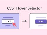 What Is The Hover Selector In Css Scaler Topics