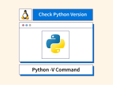 How To Check Python Version In Linux Scaler Topics