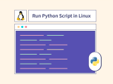 How To Run Python Script In Linux Scaler Topics