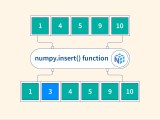 How To Use Numpy Insert Function Scaler Topics