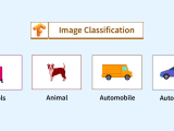 Image Classification Using Tensorflow Scaler Topics