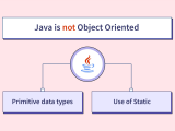 Is Java Object Oriented Or Not Scaler Topics