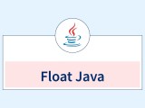 Java Float Scaler Topics