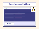 What Is Exec Command In Linux Scaler Topics