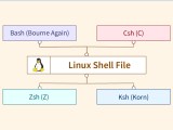 How To Create A Shell Script In Linux Scaler Topics