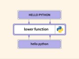 Python Lowercase How To Use The String Lower Method Scaler Topics