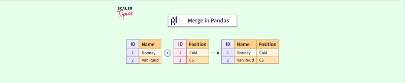 Pandas merge() - Scaler Topics