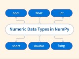 Numeric Datatypes In Numpy Scaler Topics