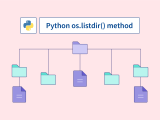 Python Os Listdir Method Scaler Topics