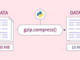 Python Gzip Module Scaler Topics