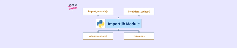 Importlib Python - Premium City Design Gallery - Mobile