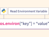 Python Read Environment Variable Scaler Topics