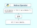 What Is The Python Walrus Operator Scaler Topics