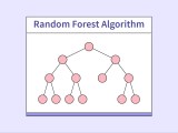 Random Forest Algorithm In Machine Learning Scaler Topics