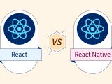 React Vs React Native Important Differences Scaler Topics