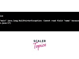 Reference Variable In Java With Examples Scaler Topics