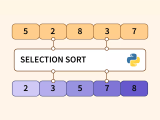 Selection Sort In Python Scaler Topics