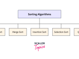 Algorithms In Python Scaler Topics