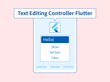Texteditingcontroller In Flutter Scaler Topics